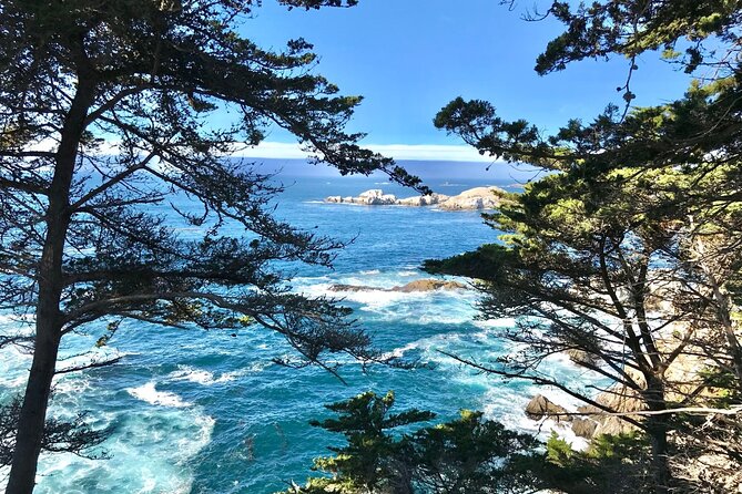 Premium Small Group 5-Day San Francisco Tour w/ Unique Experience - Final Thoughts: Who Is This Tour Best For?