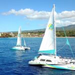 Premium Sunset Dinner Cruise from Kaanapali Beach - Authentic Guest Insights