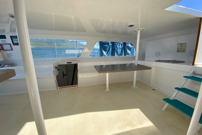 Premium Sunset Dinner Cruise from Kaanapali Beach - The Sum Up