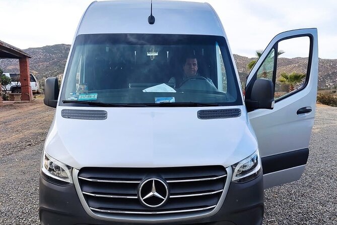 Premium Valle de Guadalupe Wine and Food Tour - An In-Depth Look at the Tour Experience