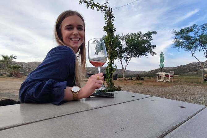 Premium Valle de Guadalupe Wine and Food Tour - Why This Tour Offers Great Value