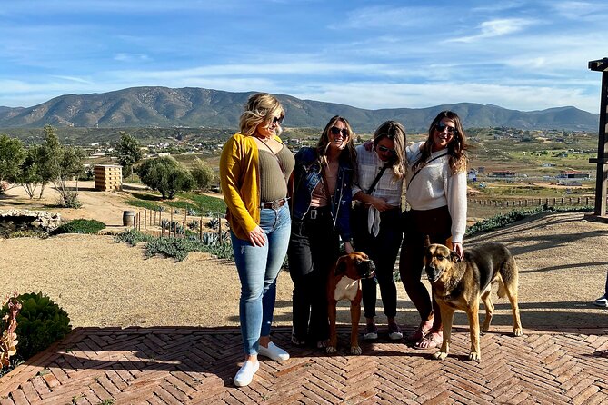 Premium Valle de Guadalupe Wine and Food Tour - FAQs