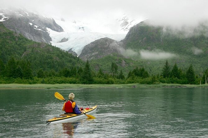 Prince William Sound Glacier Tour - Whittier - What’s Included and What to Budget For
