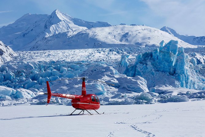 Prince William Sound Tour with Glacier Landing from Girdwood - What Travelers Value Most