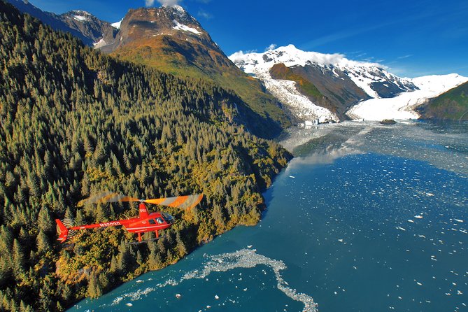 Prince William Sound Tour with Glacier Landing from Girdwood - Who Is This Tour Perfect For?