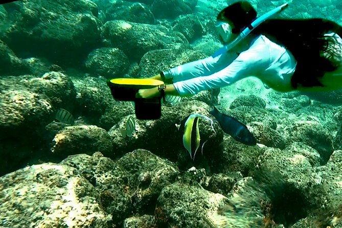 Princeville - Snorkeling Shore Excursion - Who Will Love This Experience?