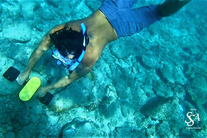 Princeville - Snorkeling Shore Excursion - Final Thoughts