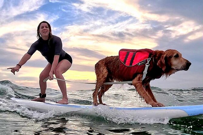Private 1-on-1 Surf Lesson with Videos and Photos - Who Will Love This Experience?