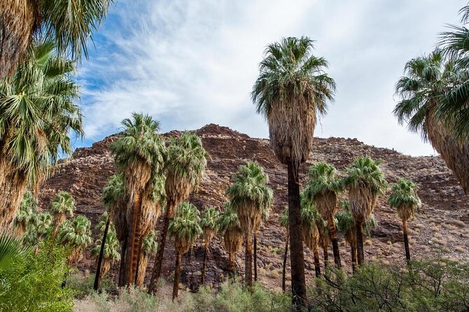 Private 10-hour tour to Palm Springs from Los Angeles - Hotel pick up - Key Points