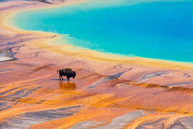 Private 2-Day Yellowstone Tour - Upper and Lower Loop - An Excellent Two-Day Adventure in Yellowstone and Grand Teton