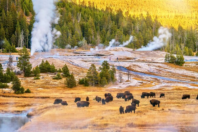 Private 2-Day Yellowstone Tour - Upper and Lower Loop - Who Is This Tour Best For?