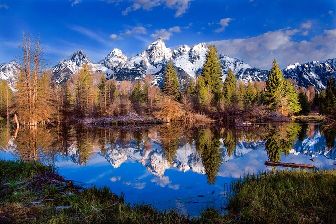 Private 2-Day Yellowstone Tour - Upper and Lower Loop - The Sum Up