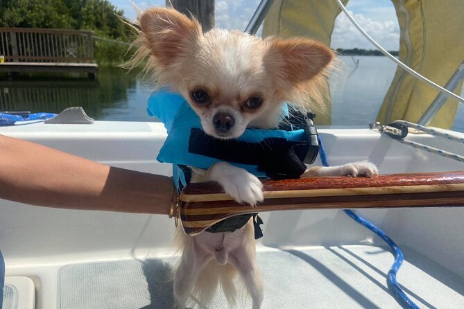 Private 2-Hour Day Sailing Experience - The Authenticity of the Experience: Why It Stands Out
