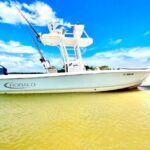 Private 2 Hour Dolphin & Eco Tour Marco Island, FL - Who Should Consider This Tour?