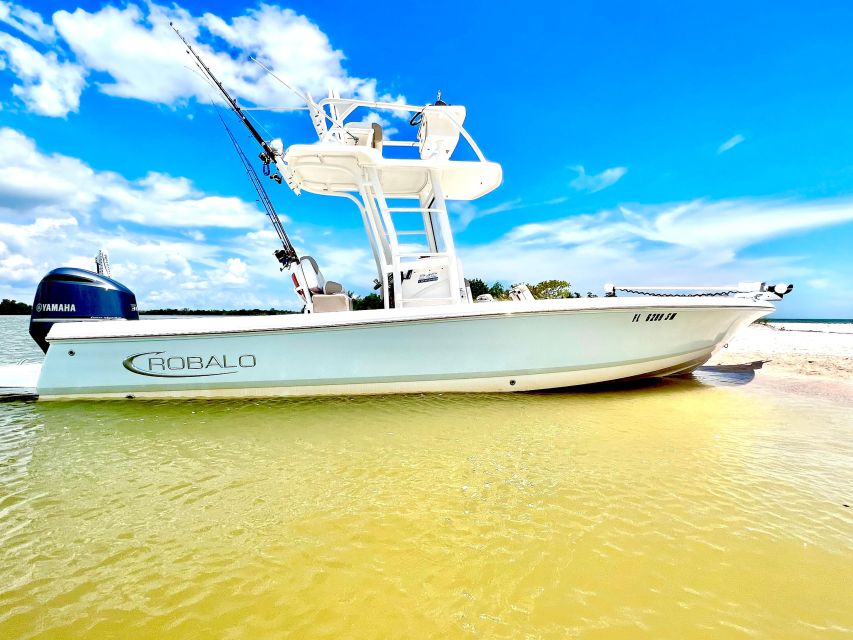Private 2 Hour Dolphin & Eco Tour Marco Island, FL - Who Should Consider This Tour?