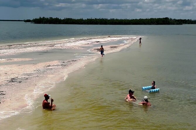 Private 2 Hour Dolphin & Eco Tour Marco Island, FL - Final Thoughts  