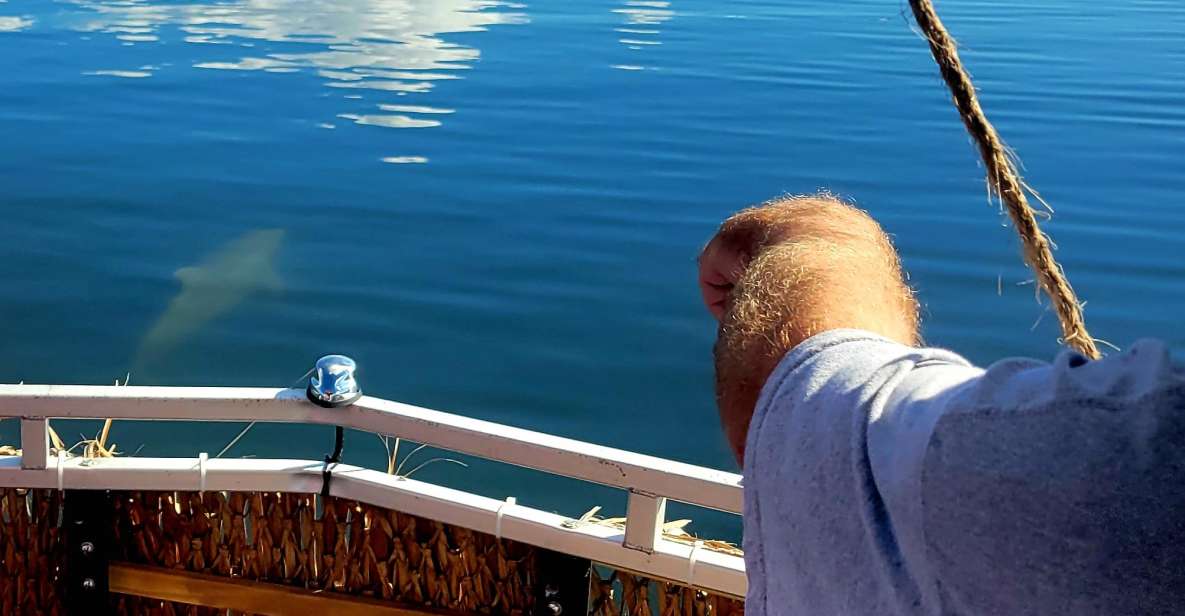 Private 2 hour Dolphin Sightseeing tour- Melbourne - Itinerary Breakdown and What to Expect