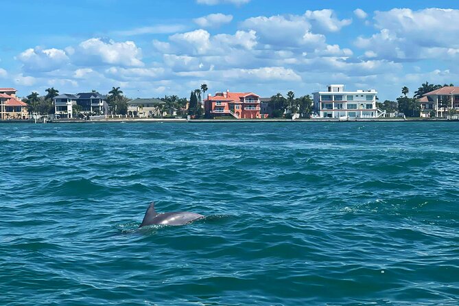 Private 2-Hour Dolphin Watching Cruise in St. Petersburg, FL - Why Travelers and Nature Lovers Will Love This Tour