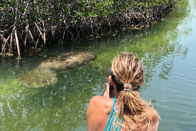 Private 2 hour Mangrove Ecotour - Who Should Book This Tour?