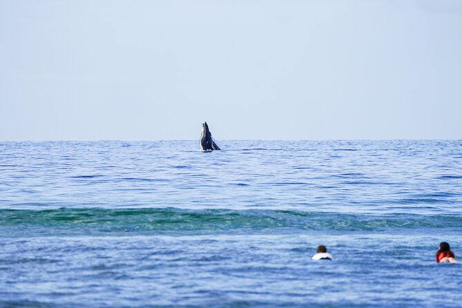 Private 2 hour Surf Lessons with Experienced Coaches - Equipment and Instructors: A Closer Look