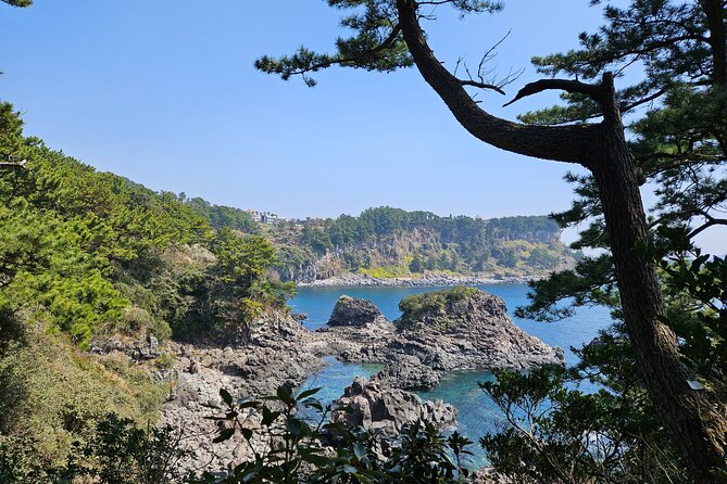 Private 2Days Tour a lot of Experience Driver in jeju island - An In-Depth Look at the Jeju Private 2-Day Tour