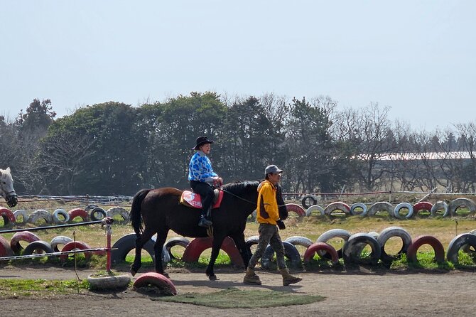 Private 2Days Tour a lot of Experience Driver in jeju island - What’s Included and What to Expect