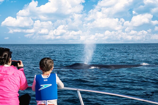 Private 2hr Supreme Whale/Dolphin Watching Tour, Newport Beach CA - Practical Tips for Your Trip