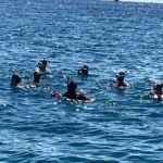 Private 3.5 hr Snorkel Charter in Waikiki - The Experience in Detail
