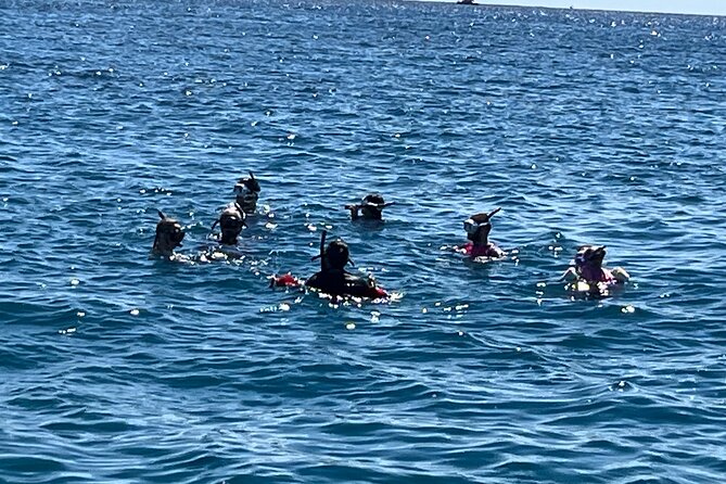 Private 3.5 hr Snorkel Charter in Waikiki - The Experience in Detail