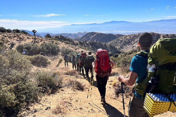 Private-36 Hour Adventure in Joshua Tree National Park - Who Is This Tour Best For?