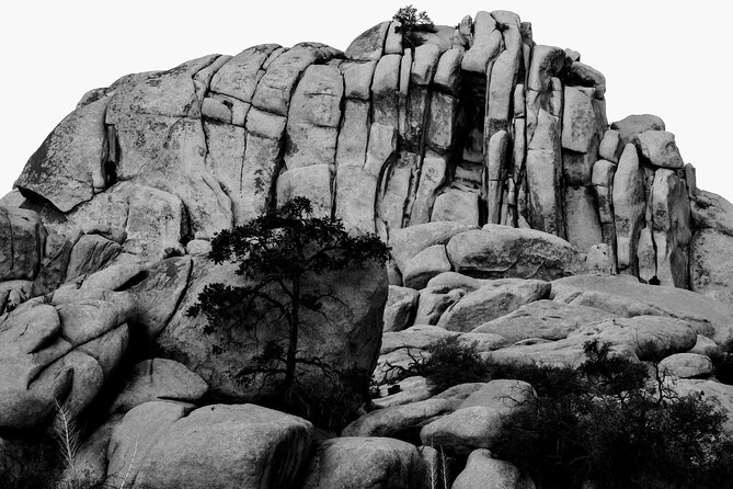 Private-36 Hour Adventure in Joshua Tree National Park - FAQ