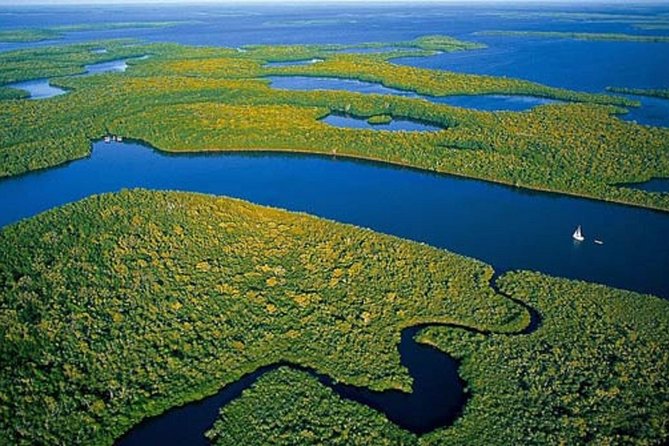Private 4 Hour Everglades Tour Experience in the Wilderness - Exploring the Florida Everglades: A Private 4-Hour Adventure in the Wilderness