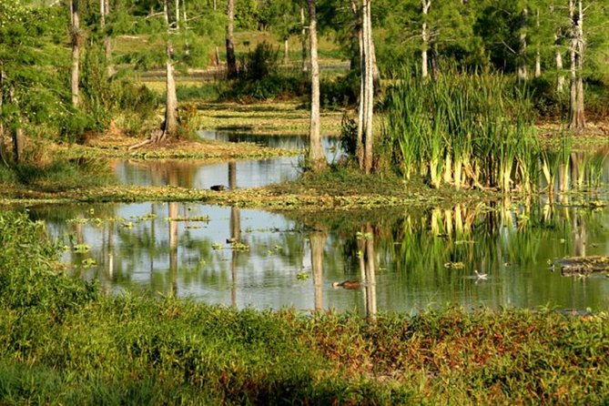 Private 4 Hour Everglades Tour Experience in the Wilderness - Practical Details and What to Expect