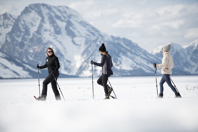Private 4 hour Snowshoe in Grand Teton National Park - The Equipment and Comfort