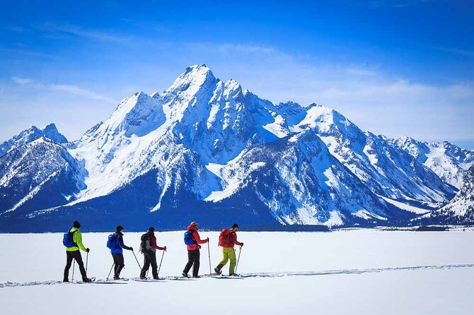 Private 4 hour Snowshoe in Grand Teton National Park - Wildlife and Nature Highlights