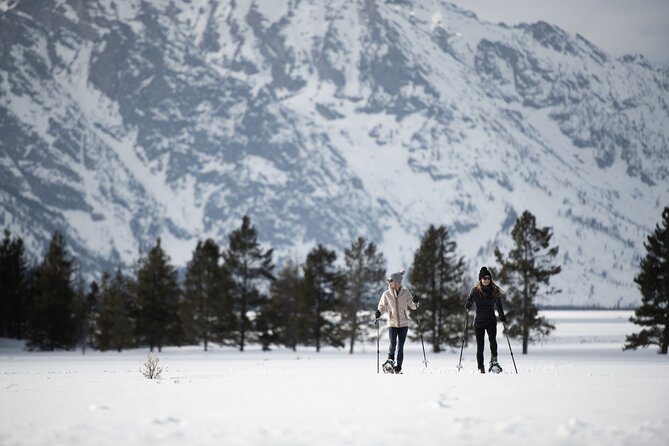 Private 4 hour Snowshoe in Grand Teton National Park - Detailed Breakdown of the Itinerary