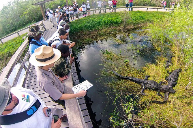 Private 4-hour Tour of Everglades from Miami Dade - What Travelers Have Said