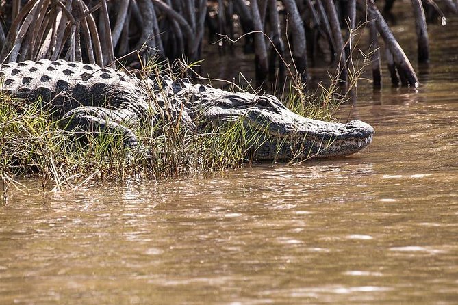 Private 4-hour Tour of Everglades from Miami Dade - FAQ  