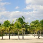 Private 4-hours City Tour of Miami from Miami Airport with private driver/guide - What Travelers Can Expect from the Experience