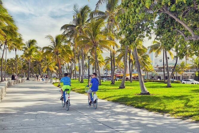 Private 4-hours City Tour of Miami with private driver/guide - Transport and Comfort