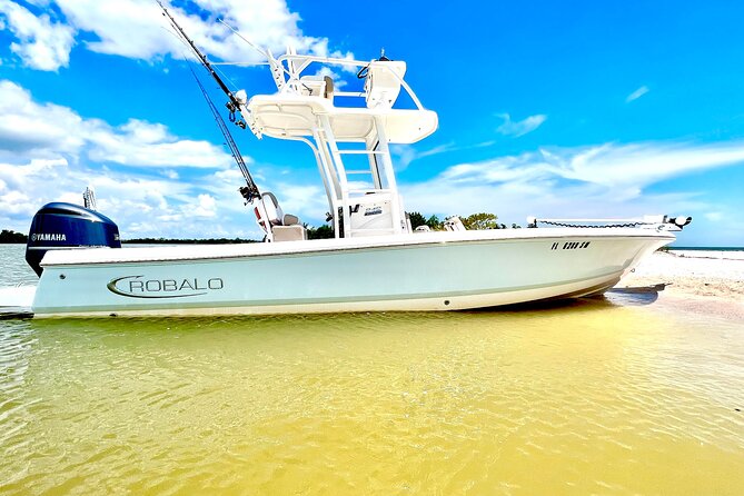 Private 4 HR Eco Tour, Shelling and Fishing, Marco Island FL - The Sum Up