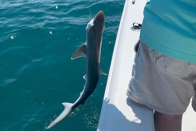 Private 4 hr Fishing Tour with Master Captain Bill Phillips - Frequently Asked Questions