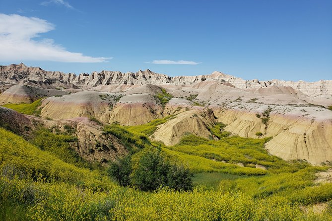 Private 5 Hour Badlands Tour with Local Experts - Is It Worth the Price?