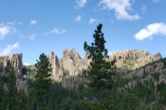 Private 5 Hour Black Hills Tour with Local Experts - Who Is This Tour Best For?