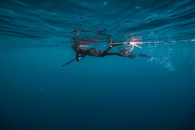 Private 5 Hour Charter on board our yacht in Waikiki - Final Thoughts: Is It Worth It?