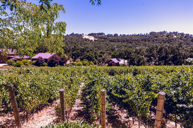 Private 5-Hour Transportation from Paso Robles or Atascadero - The Itinerary: Flexibility Is the Name of the Game