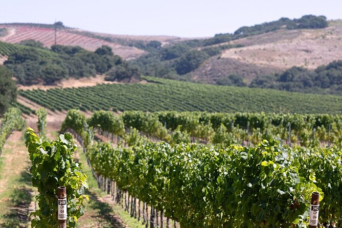Private 5-Hour Transportation in Santa Ynez, Solvang and Buellton - Key Points