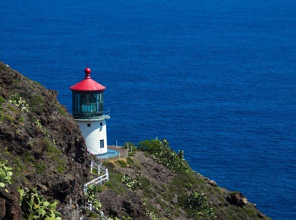 Private 5Hrs Island Tour with 2Hrs Sail and Snorkel with Turtles - An In-Depth Look at the Private 5-Hour Island Tour with 2 Hours Sail and Snorkel with Turtles  