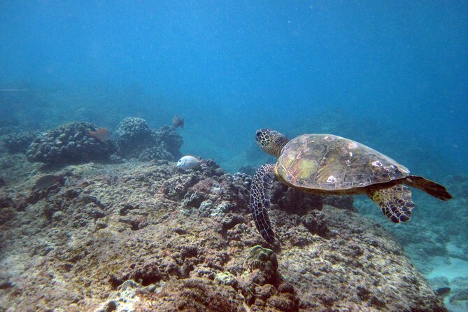 Private 5Hrs Island Tour with 2Hrs Sail and Snorkel with Turtles - Exploring the Itinerary in Detail  