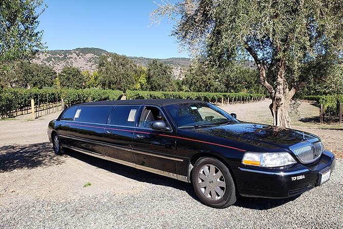 Private 6 Hour Napa Valley Wine Tour - Who Should Consider This Tour?